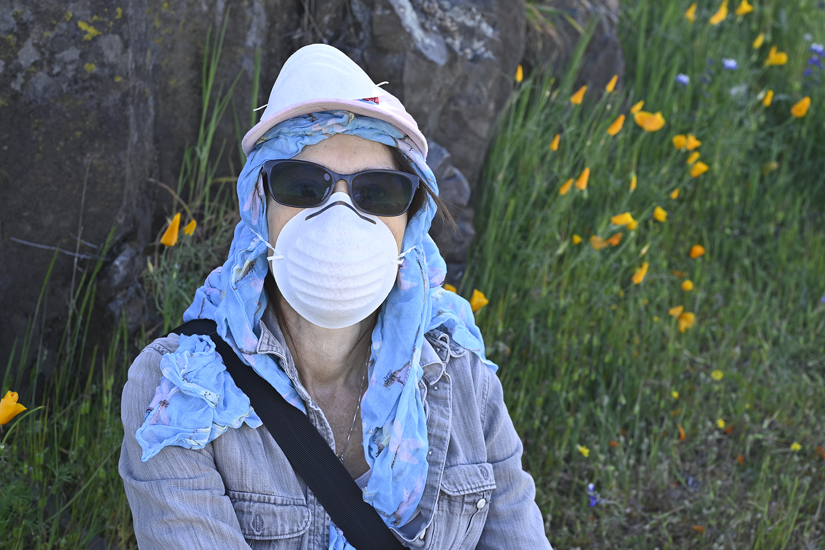 Tufted Poppy (Eschscholzia caespitosa) in black and white – It is all ...