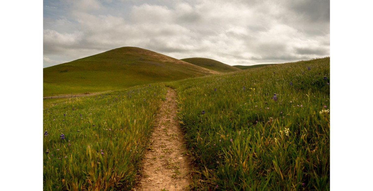 Photography at the Rush Ranch, Solano Land Trust (California, USA) – It ...