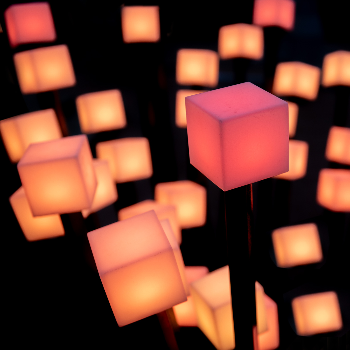 Capturing the Magic: A Guide to Photographing Neon Lights at the Napa ...