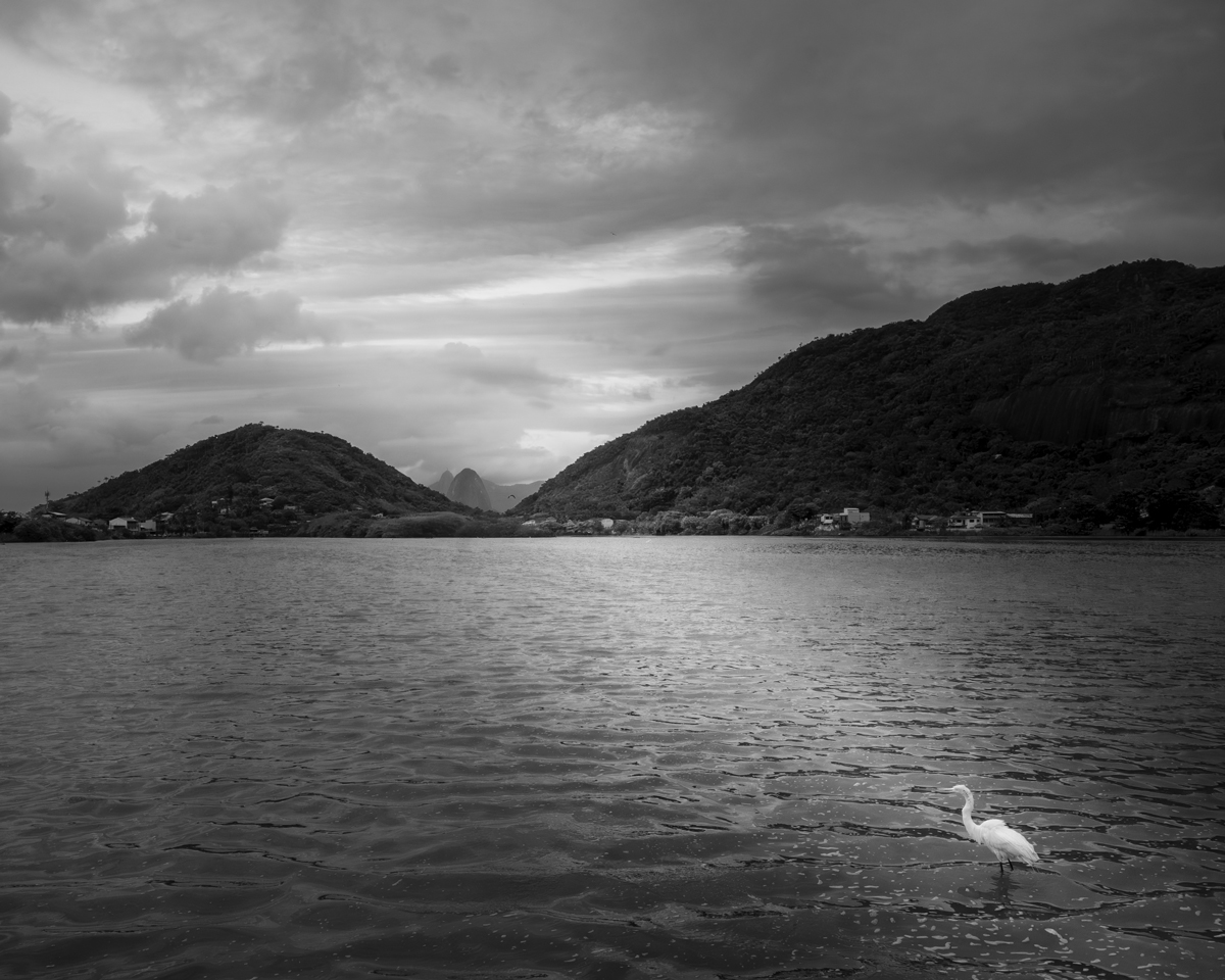 Happy New Year, and my blog statistics for 2025 – It is all about the light